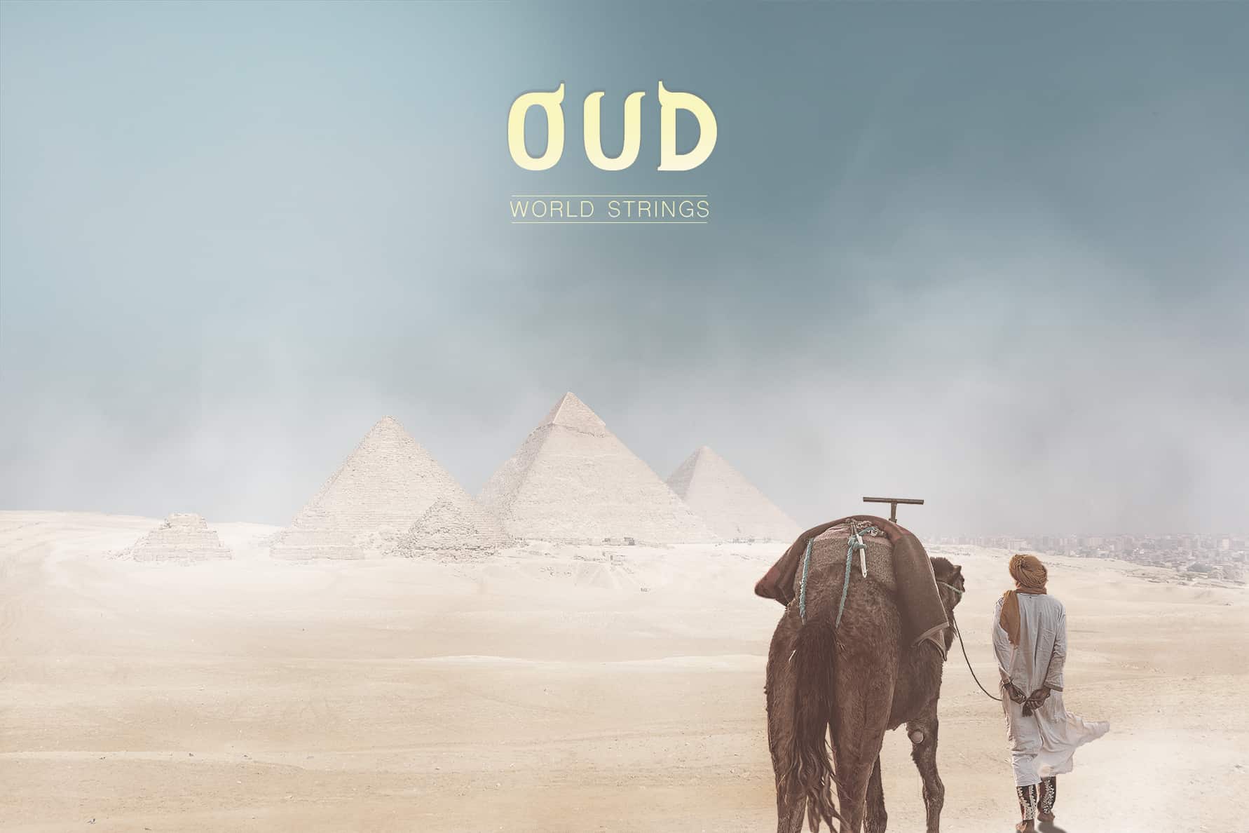 Out Now! Evolution Series World Strings Oud - Gearspace