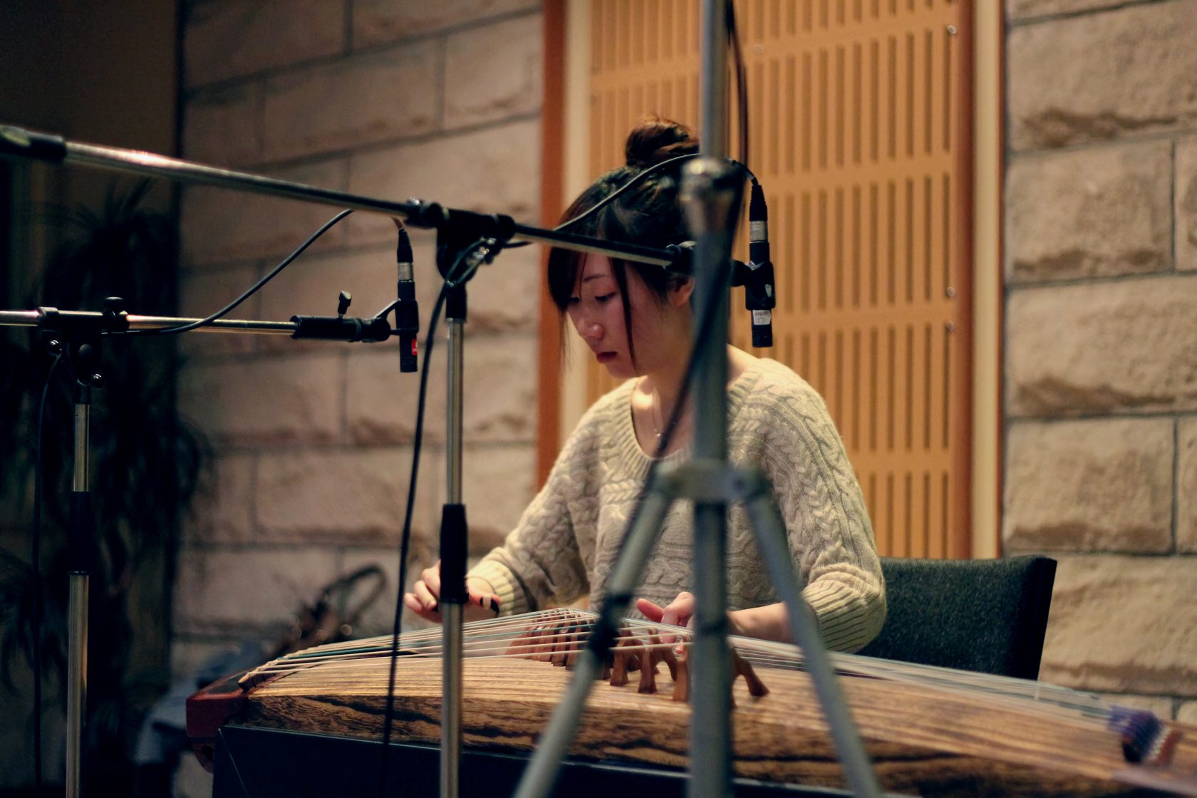 World Strings Guzheng | A Chinese Guzheng Library - Evolution Series