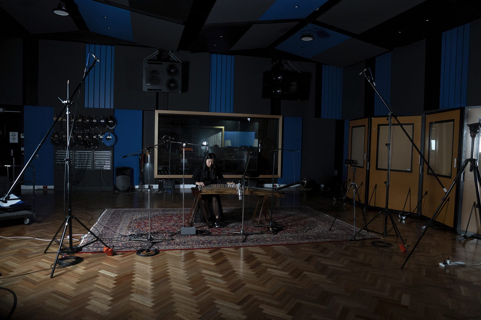 World Strings Guzheng | A Chinese Guzheng Library - Evolution Series