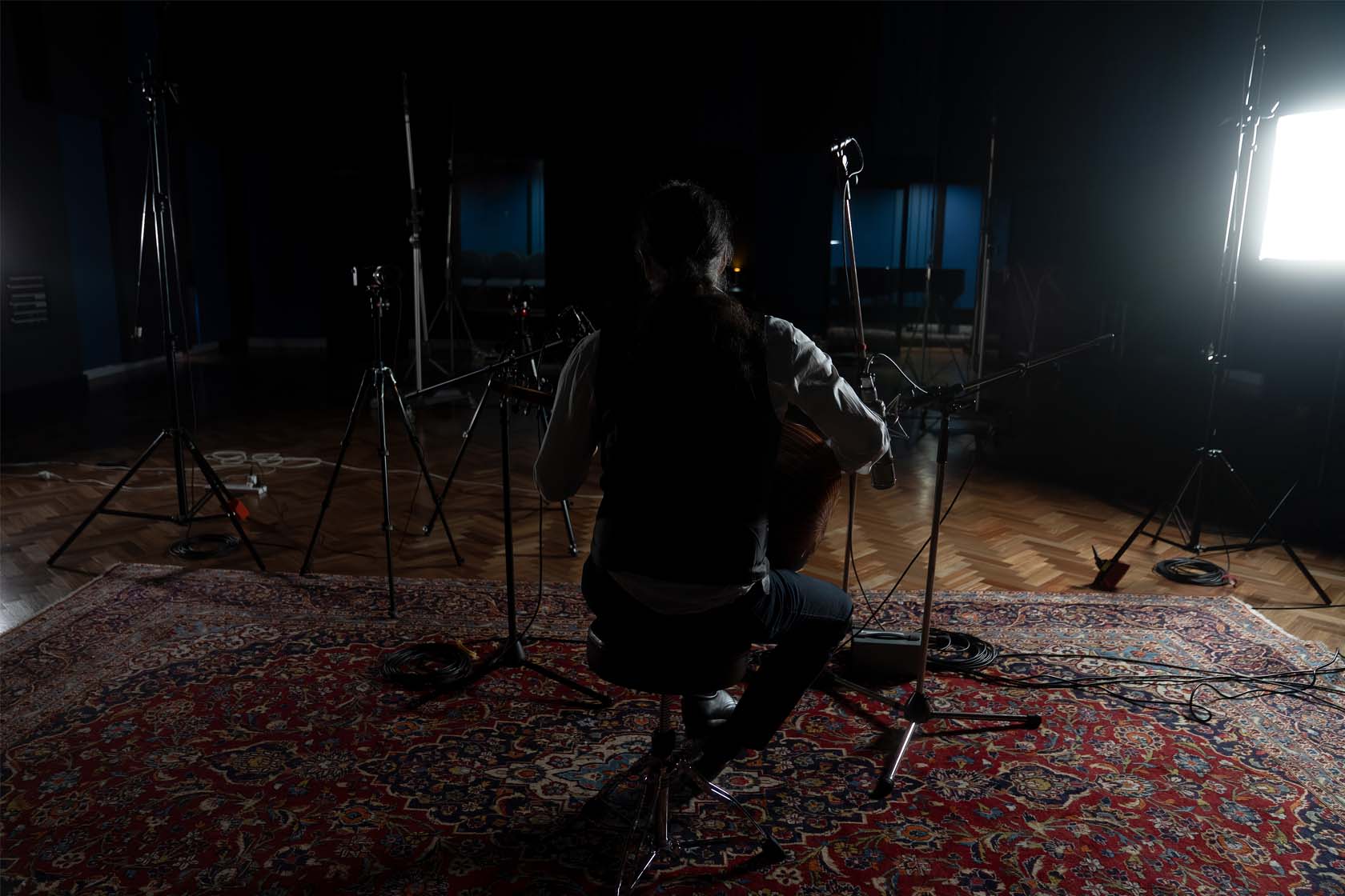 World Strings Oud | A Turkish Oud Library - Evolution Series