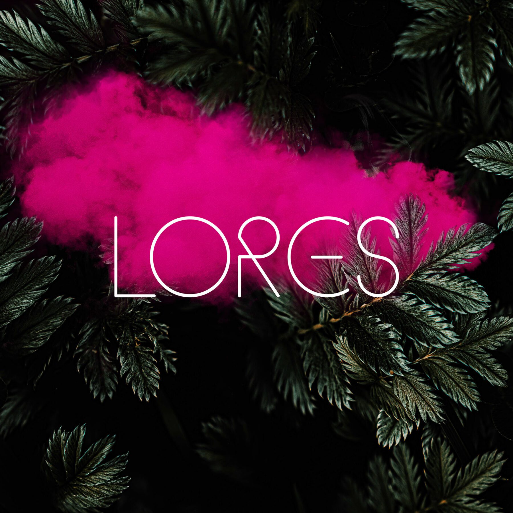 Lores - Kontakt - Evolution Series