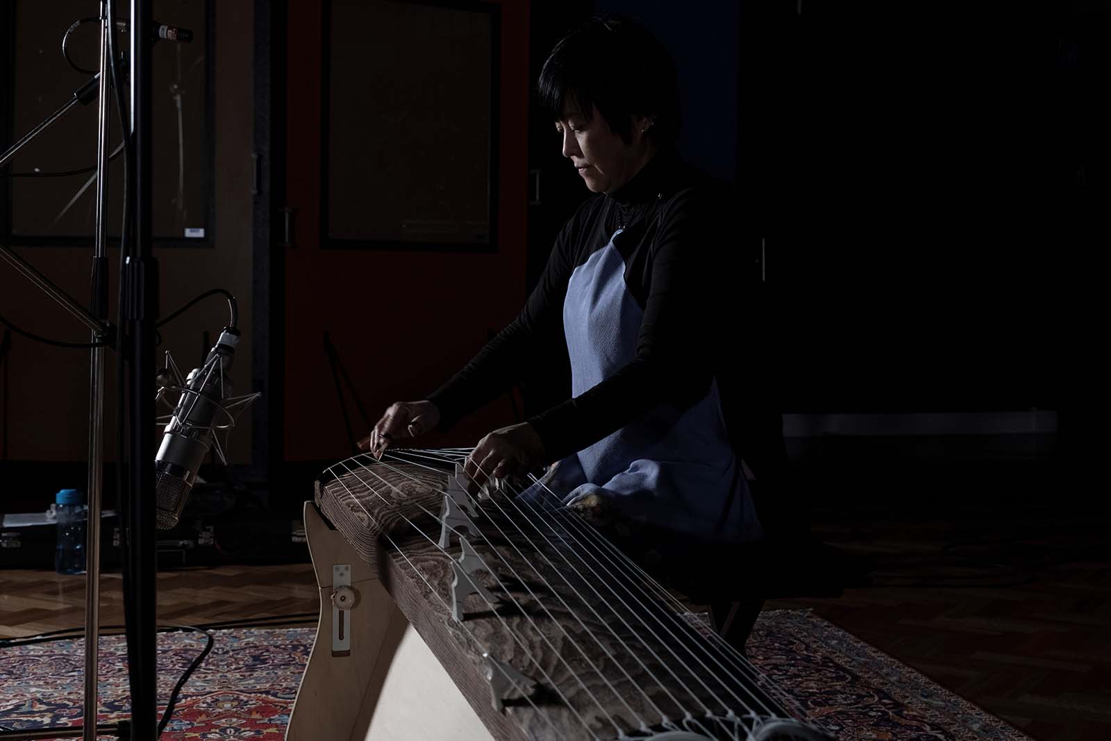 About Us 2 - Evolution Series - Sample Libraries and Virtual Instruments