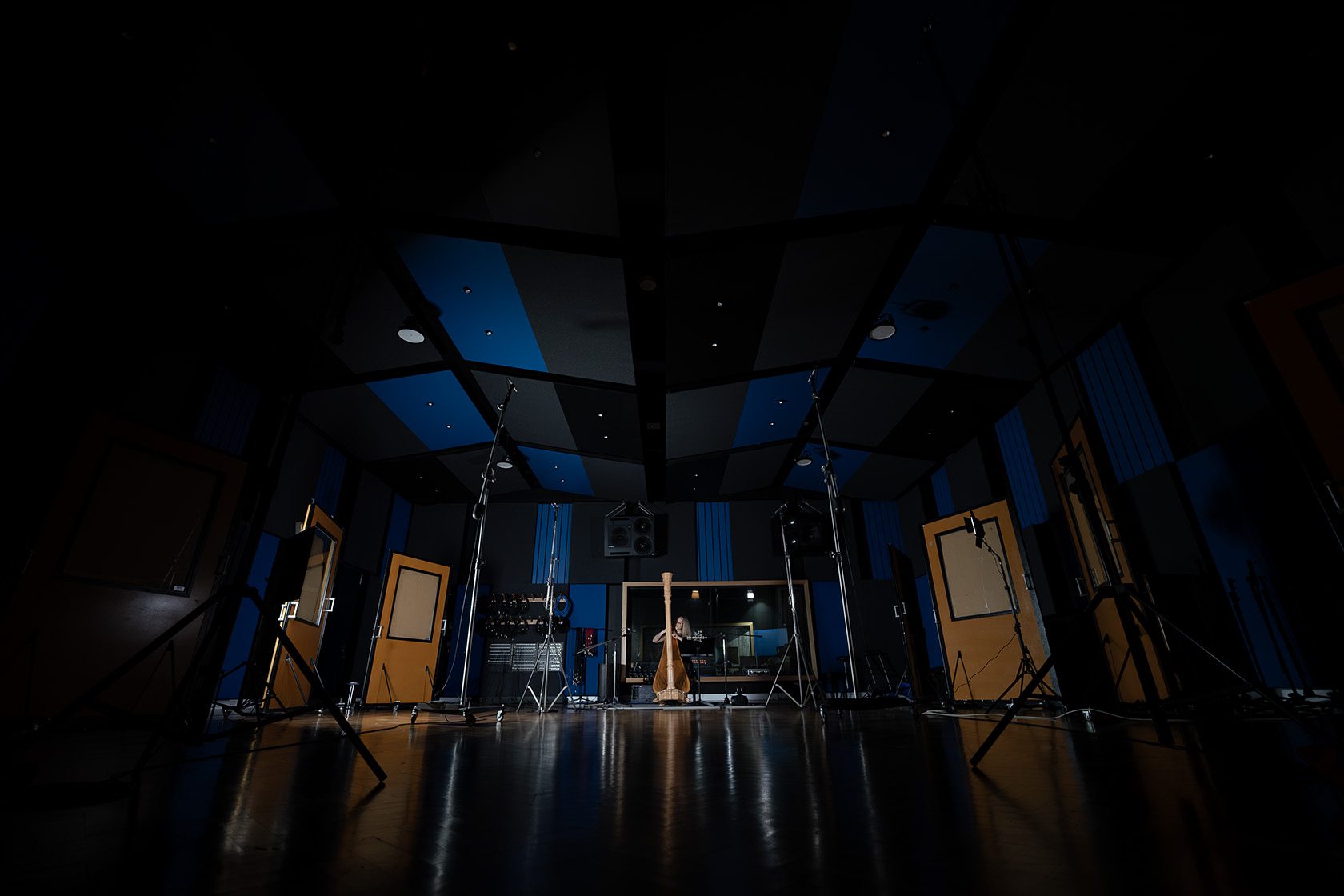 World Strings – Harp | Versatile Harp Library - Evolution Series