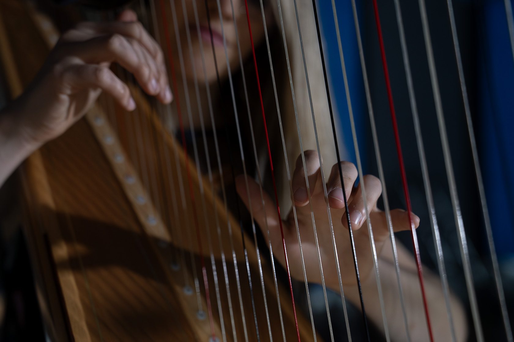World Strings – Harp | Versatile Harp Library - Evolution Series