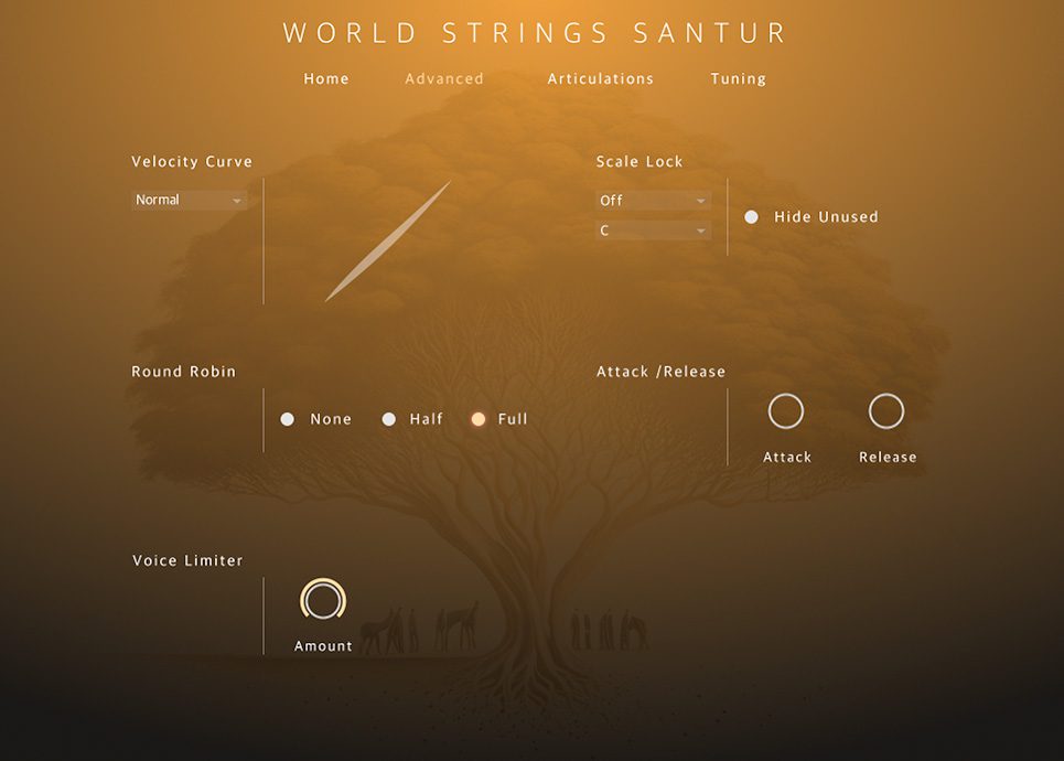 World Strings – Santur | Persian Dulcimer Library - Evolution Series