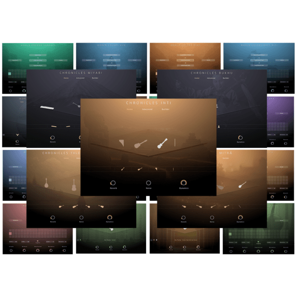 Evolution Series | Everything Bundle